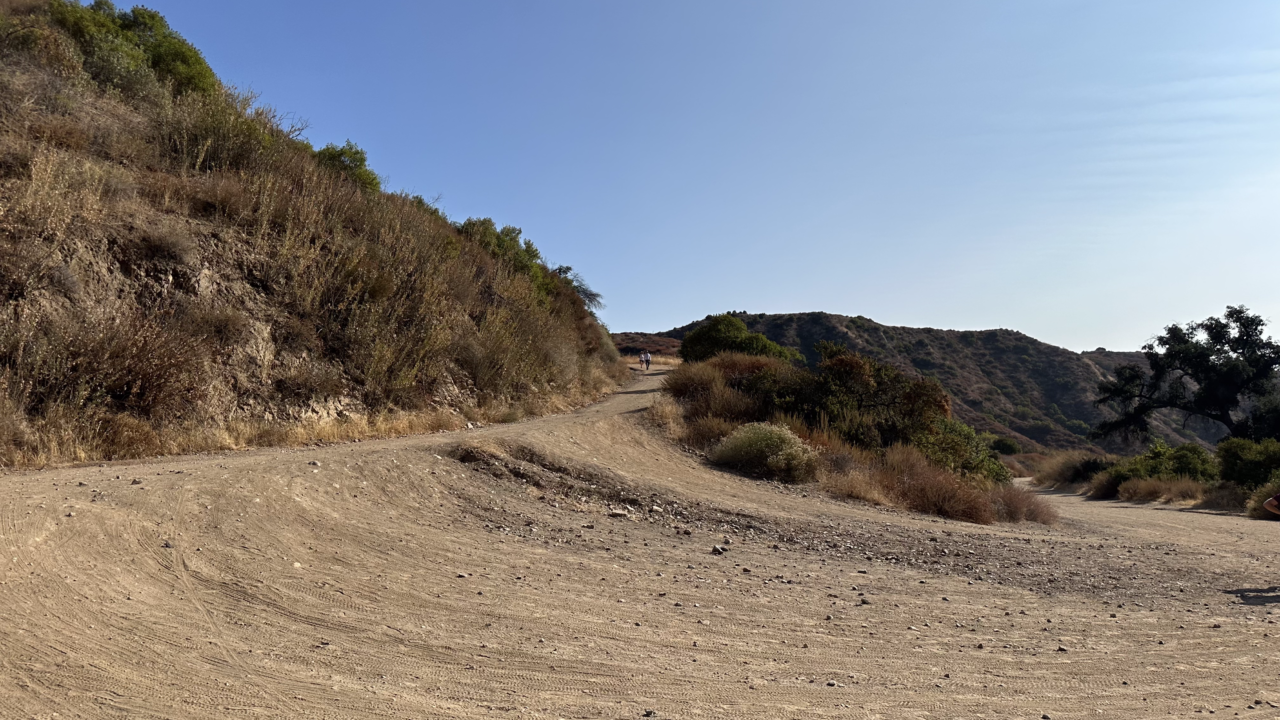 Make a Trek for the Beautiful Views Over Skyline Drive Trail - Western ...