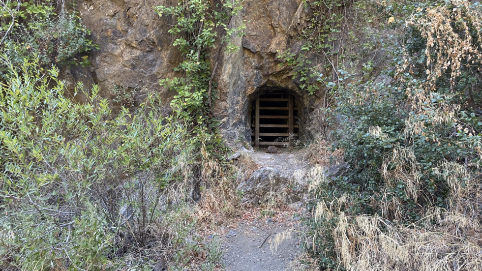 Make a Trek for the Beautiful Views Over Skyline Drive Trail - Western ...