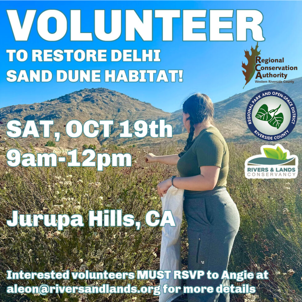 Let’s help the Delhi Sands Flower-Loving Fly - Western Riverside County ...
