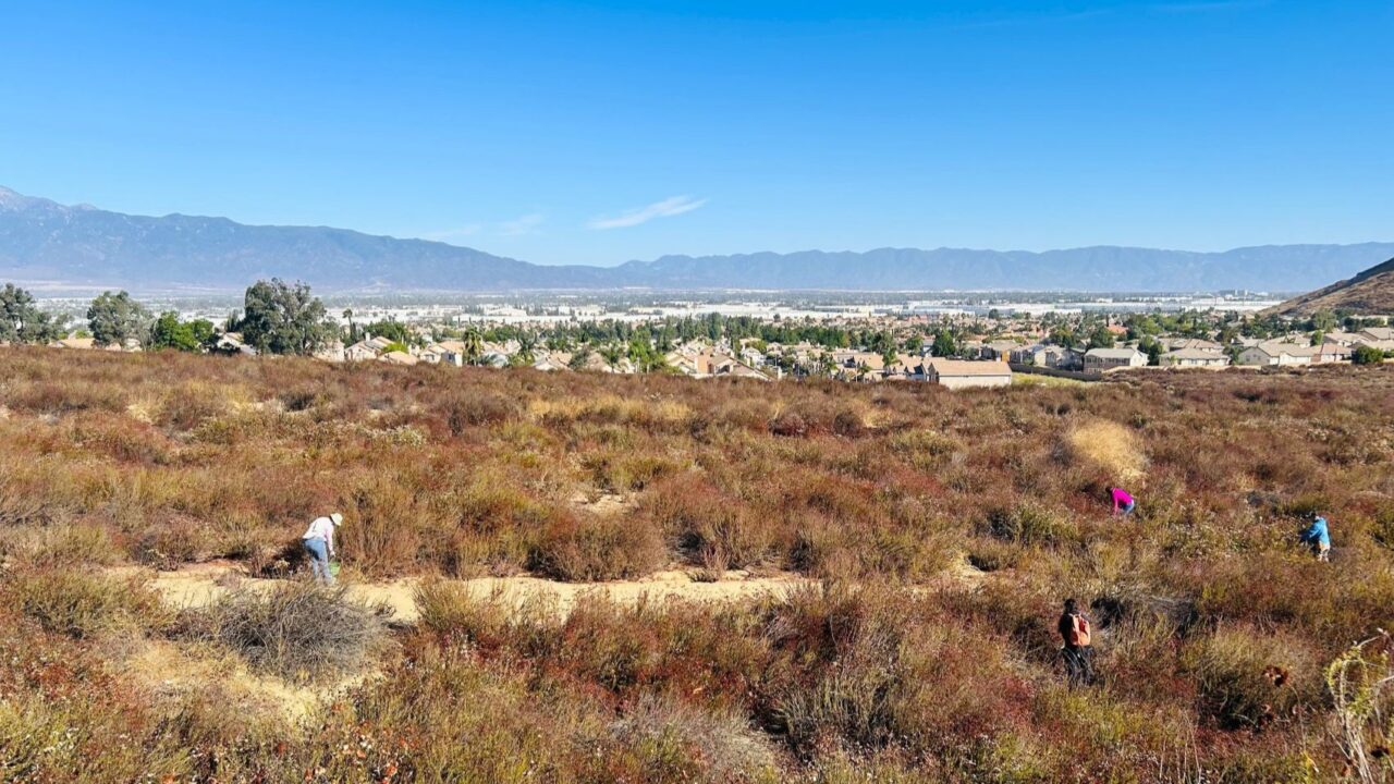 Western Riverside County Regional Conservation Authority